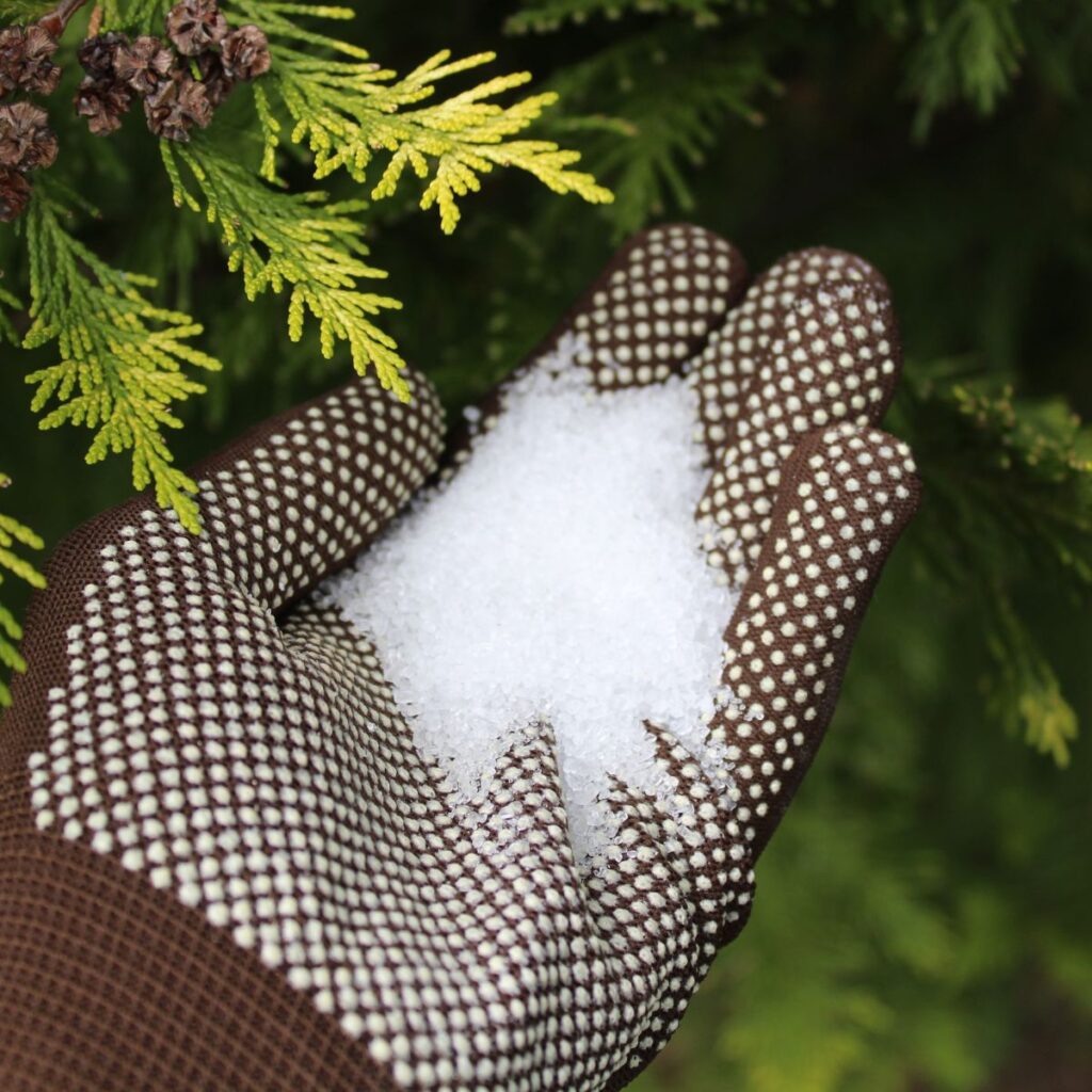 Can Chickens Be Potty Trained? (Actually, Yes!) - Chicken & Chicks Info