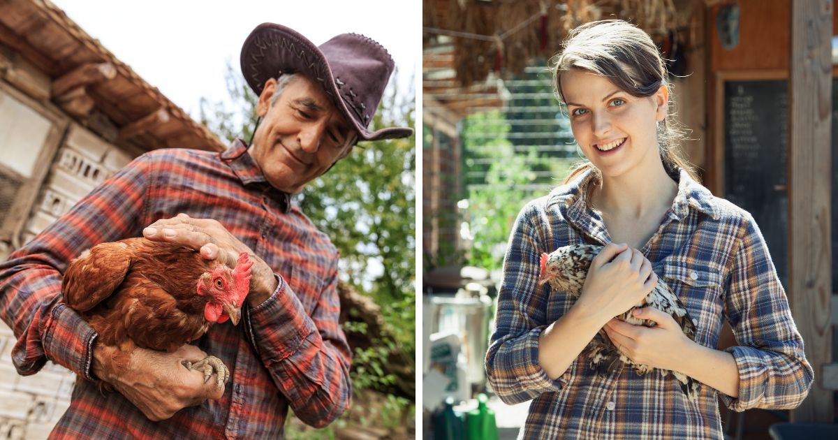 Can Chickens Love Their Owners? (Scientific Evidence Says "Yes ...