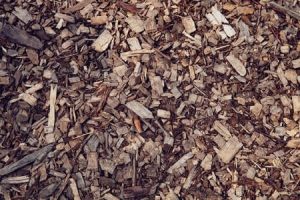 Chicken Run Wood Chips - Why It's The Best Flooring - Chicken & Chicks Info